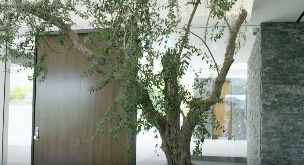 Zedd's Mansion Is The Craziest/Coolest/Richest Thing I've Ever Seen