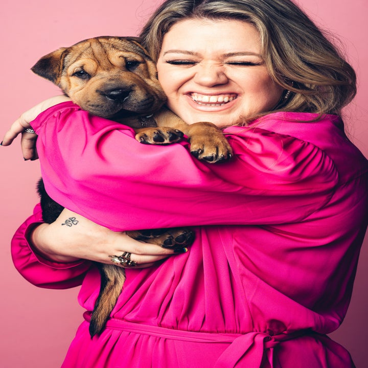 Kelly Clarkson Gets Interviewed While Playing With Puppies And It's So ...