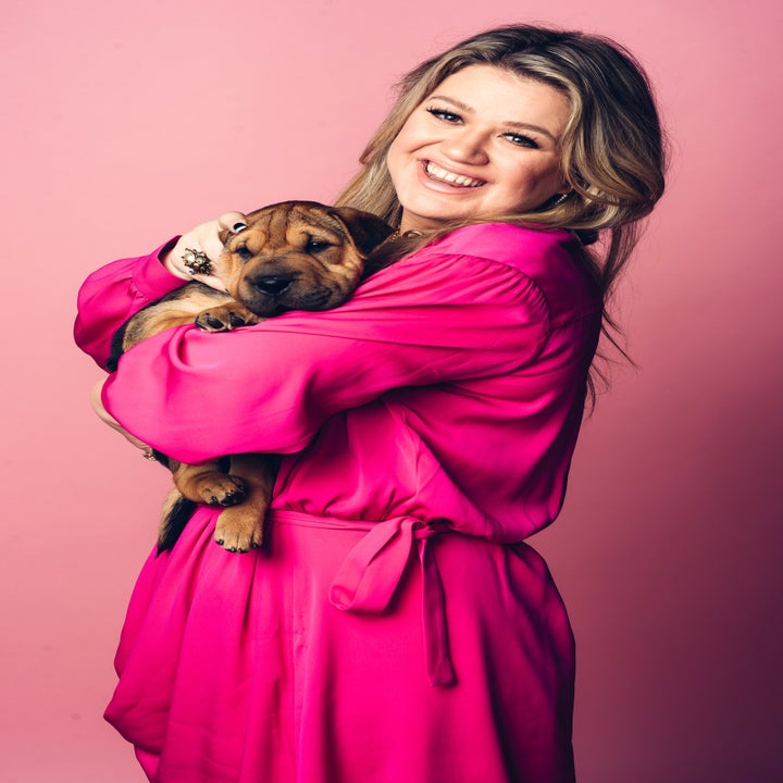 Kelly Clarkson Gets Interviewed While Playing With Puppies And It's So ...