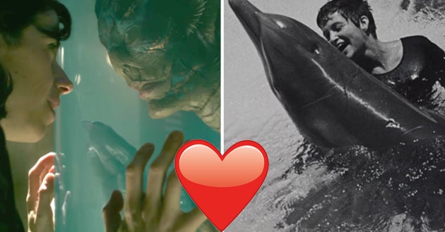 This 1960s Love Story About This Woman And Dolphin Is "The Shape Of ...
