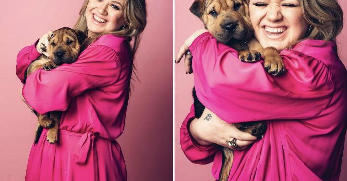 Kelly Clarkson Gets Interviewed While Playing With Puppies And It's So ...