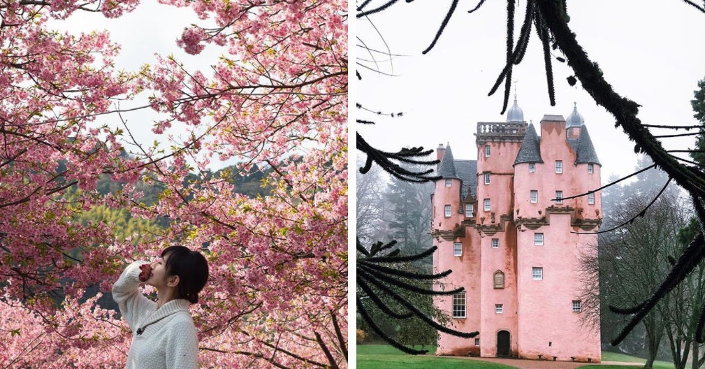 19 Pink Places You Need To Visit At Least Once