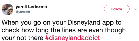 17 Hilarious Tweets About Disneyland That'll Make You Say, "Yup. Nailed ...