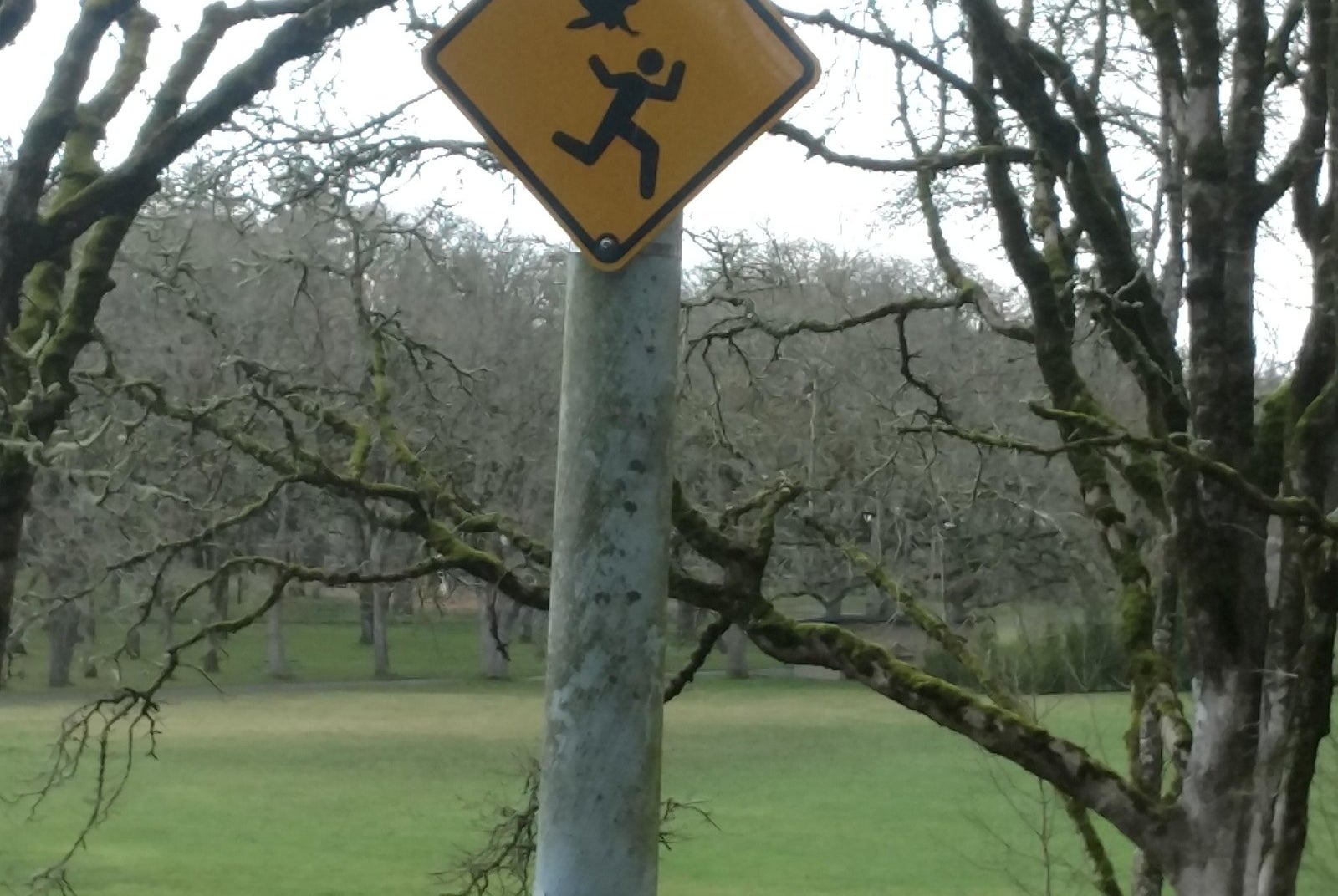 18 Really Clever Signs That Should Exist Everywhere