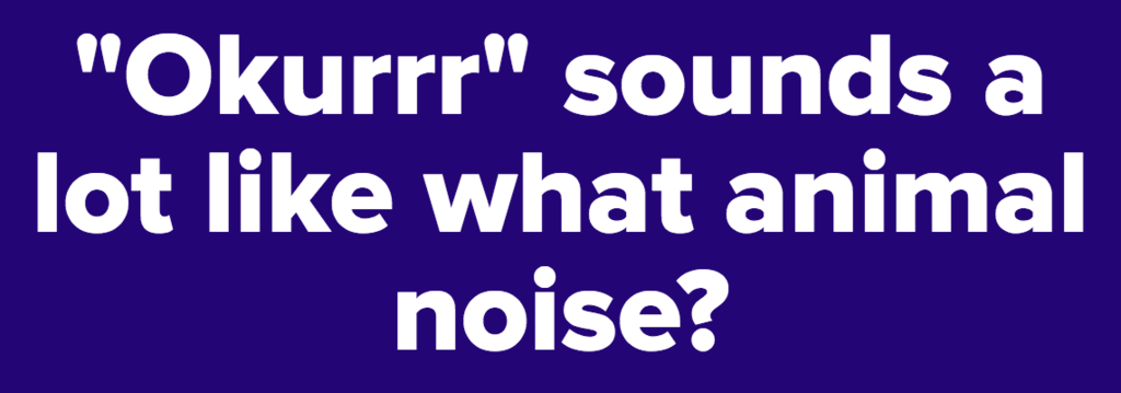 Cardi B Explained What "Okurrr" Means So Now You Can Go Back To ...