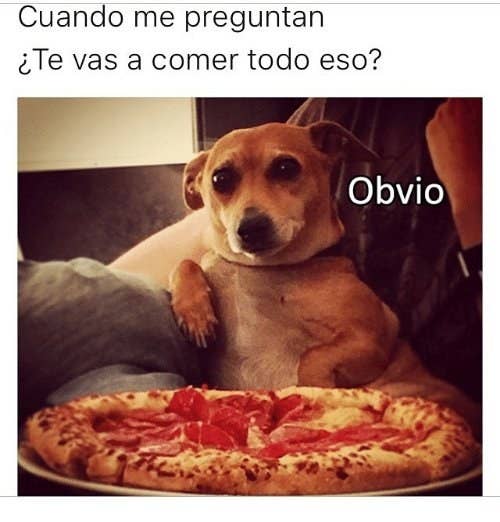 Foto De Comida Memes