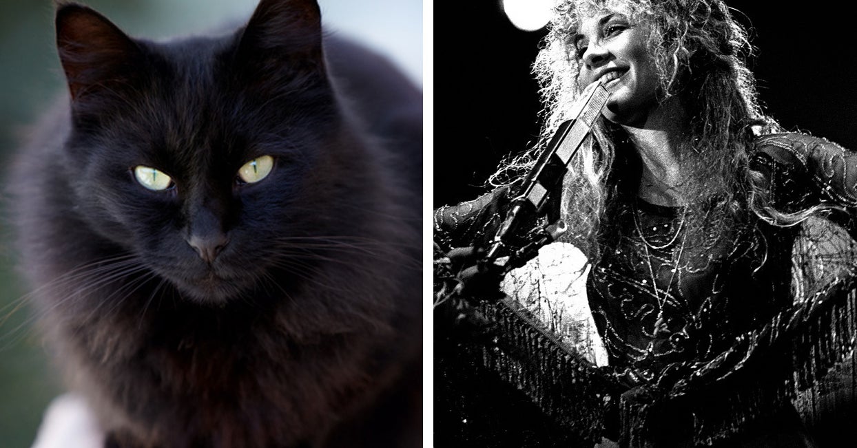 Which Famous Fictional Witch Are You?