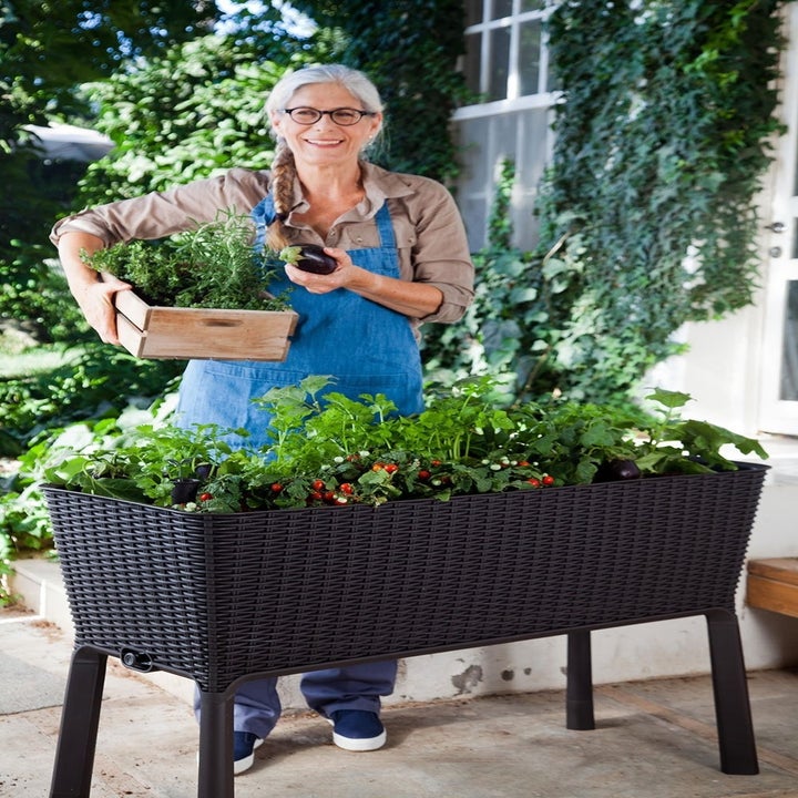 27 Amazon Products That'll Make Gardeners Say "I Never Knew I Needed This!"