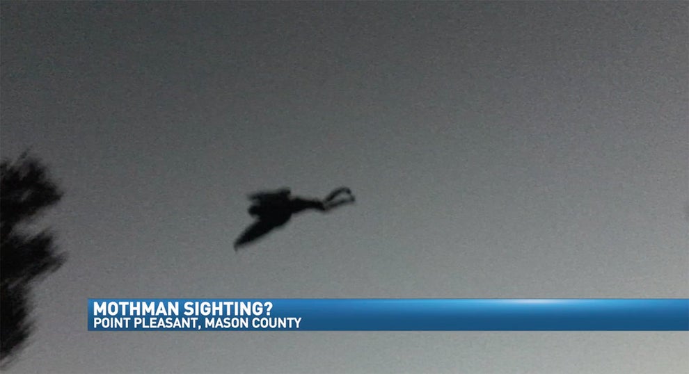 11 Eerie Details About The Mothman That'll Seriously Creep You Out