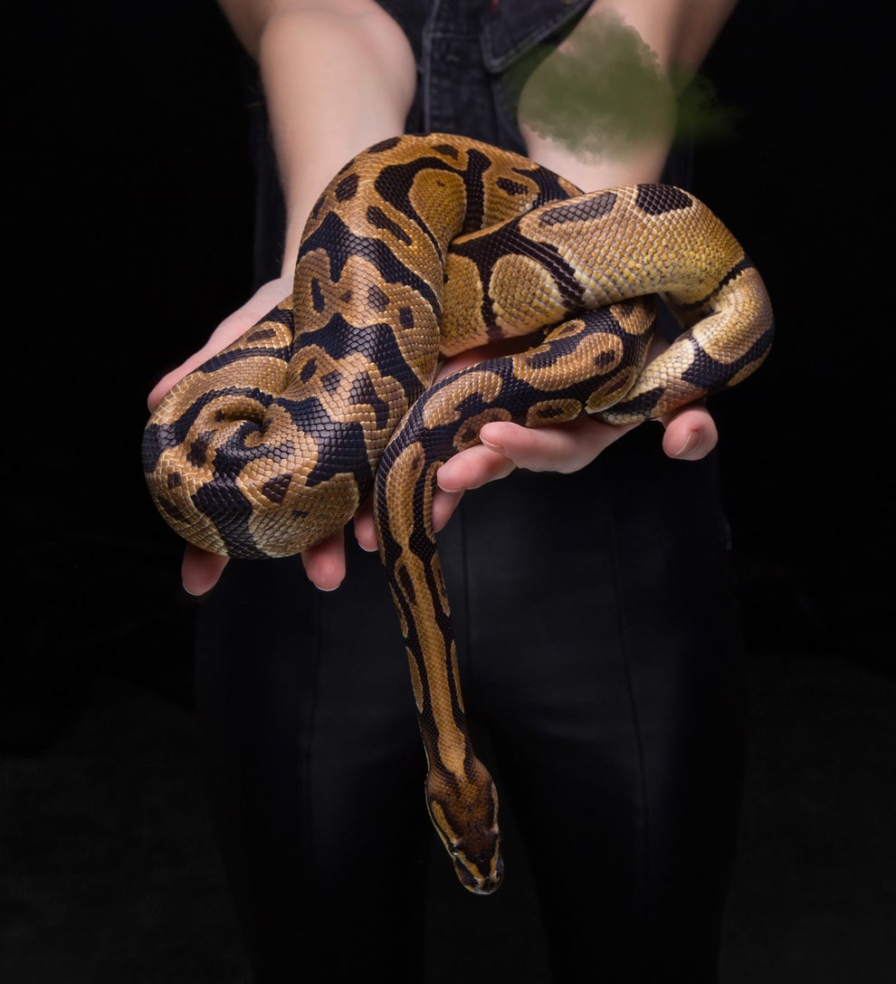 15 Facts About Farting Animals That Will Literally Blow You Away