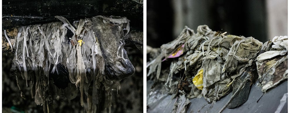 Poop Once Flowed Freely In The Streets Of New York. Here's What Changed.