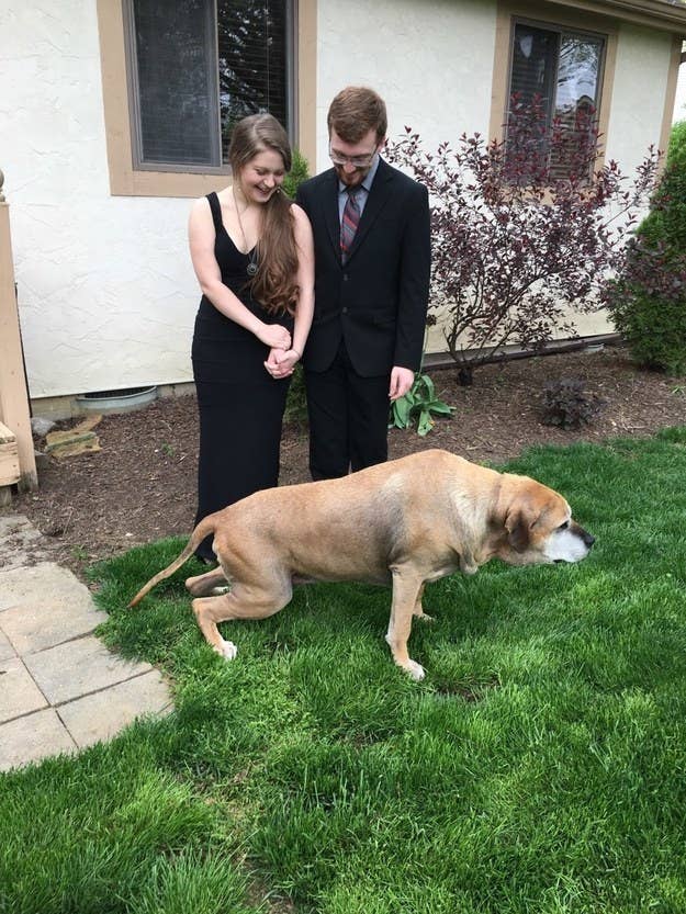 14 Prom Fails That'll Make You Feel Bad But Laugh Anyway