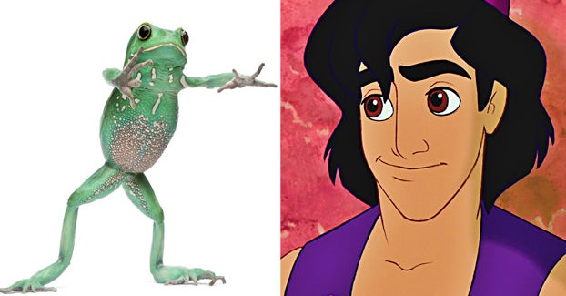 Fall In Love With These Frogs And We'll Give You A Disney Prince To Marry