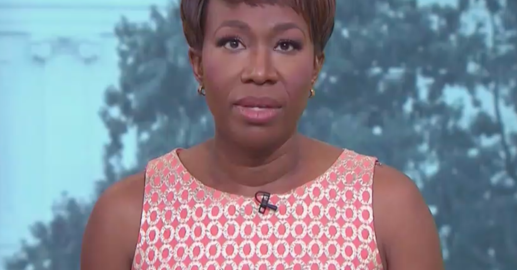 Joy Reid Gave A Lengthy Apology To The LGBT Community On Her MSNBC Show