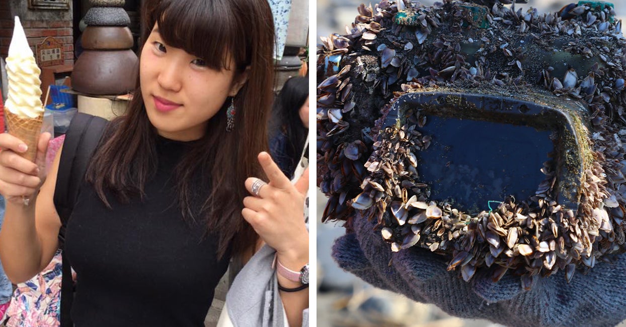 After She Lost Her Camera Scuba Diving In Japan, This Woman Was Shocked ...