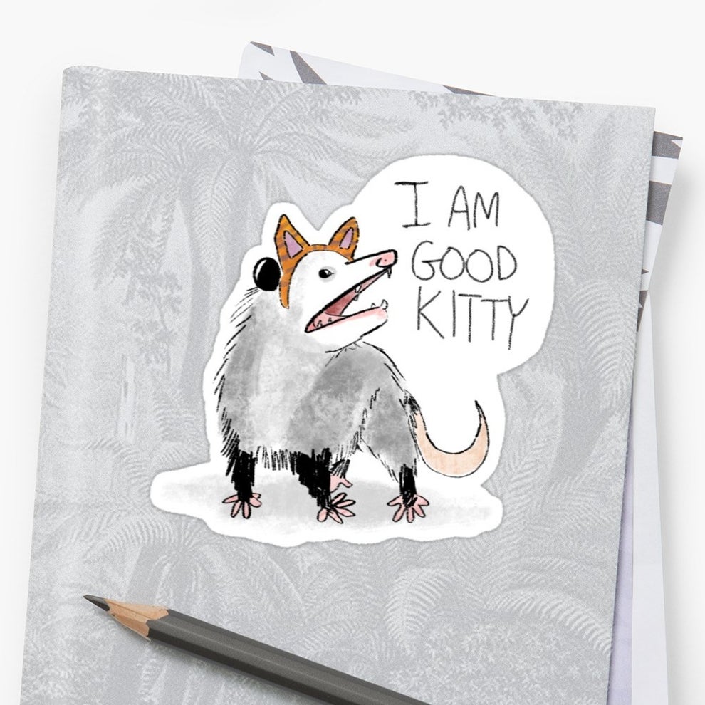 26 Really Awesome Things For All You ’Possum Lovers