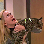 Which Award Would You Win At The Dundies?