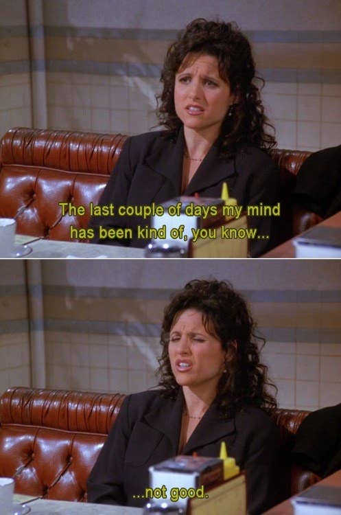 Elaine From Seinfeld Is Now And Has Always Been Ultimate Goals
