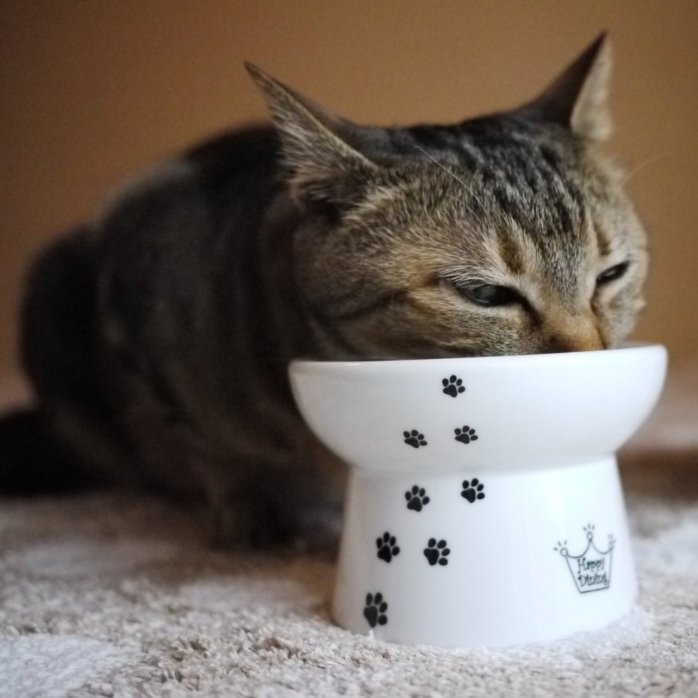 29 Cool Pet Products That'll Make You Say, "Why Didn't I Buy This Sooner?"