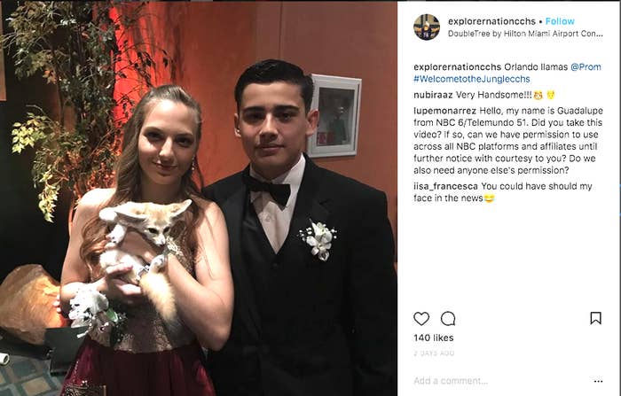 People Are Horrified That This School Brought A Caged Tiger And A Fox ...