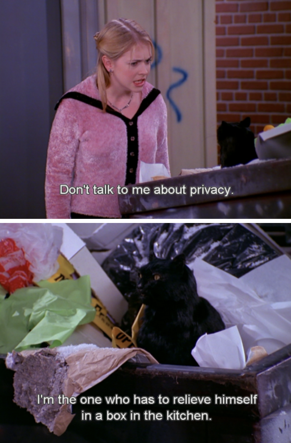 Here Are The 100 Funniest "Sabrina The Teenage Witch" Moments Of All Time