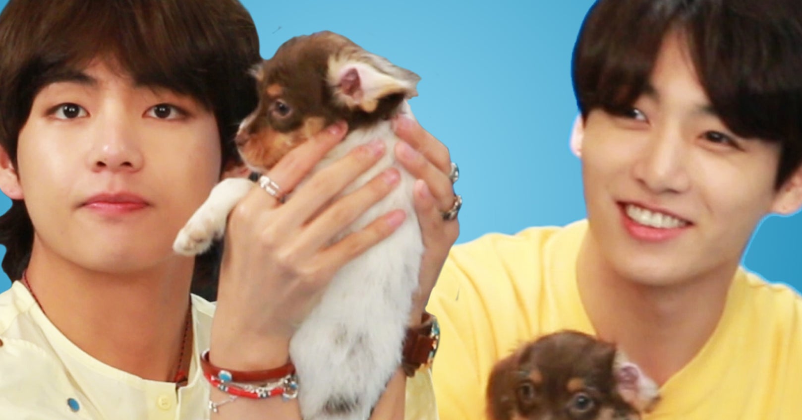 BTS Played With Puppies While Answering Fan Questions And Revealed ...