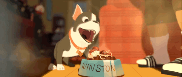 12 Helpful Products For People Who Cook For Their Dogs