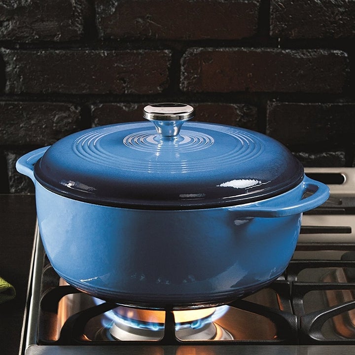 25 Essential Cooking Tools Every Cook Needs In Their Kitchen