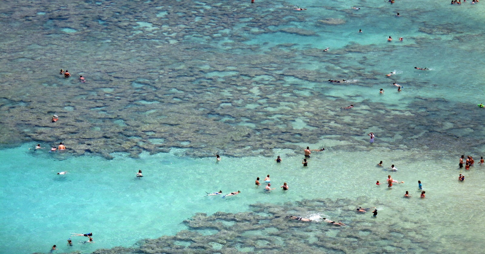 Sunscreen Chemicals Are Destroying Coral Reefs And Now Hawaii Is ...