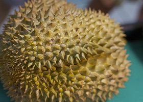 Pick Some Unique Fruit And We'll Give You An Asian City To Travel To ...