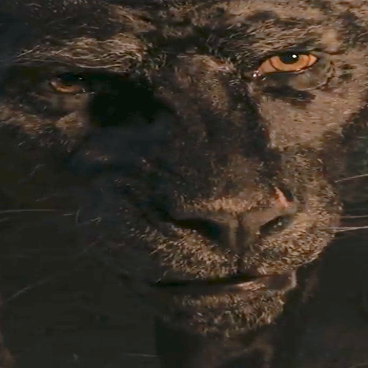 Here's The First Trailer For "Mowgli," The Dark AF New Version Of "The ...