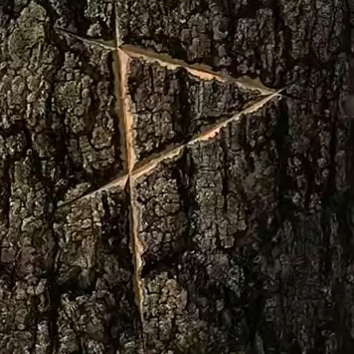 22 Pop Culture References You Definitely Missed In Shrek Movies