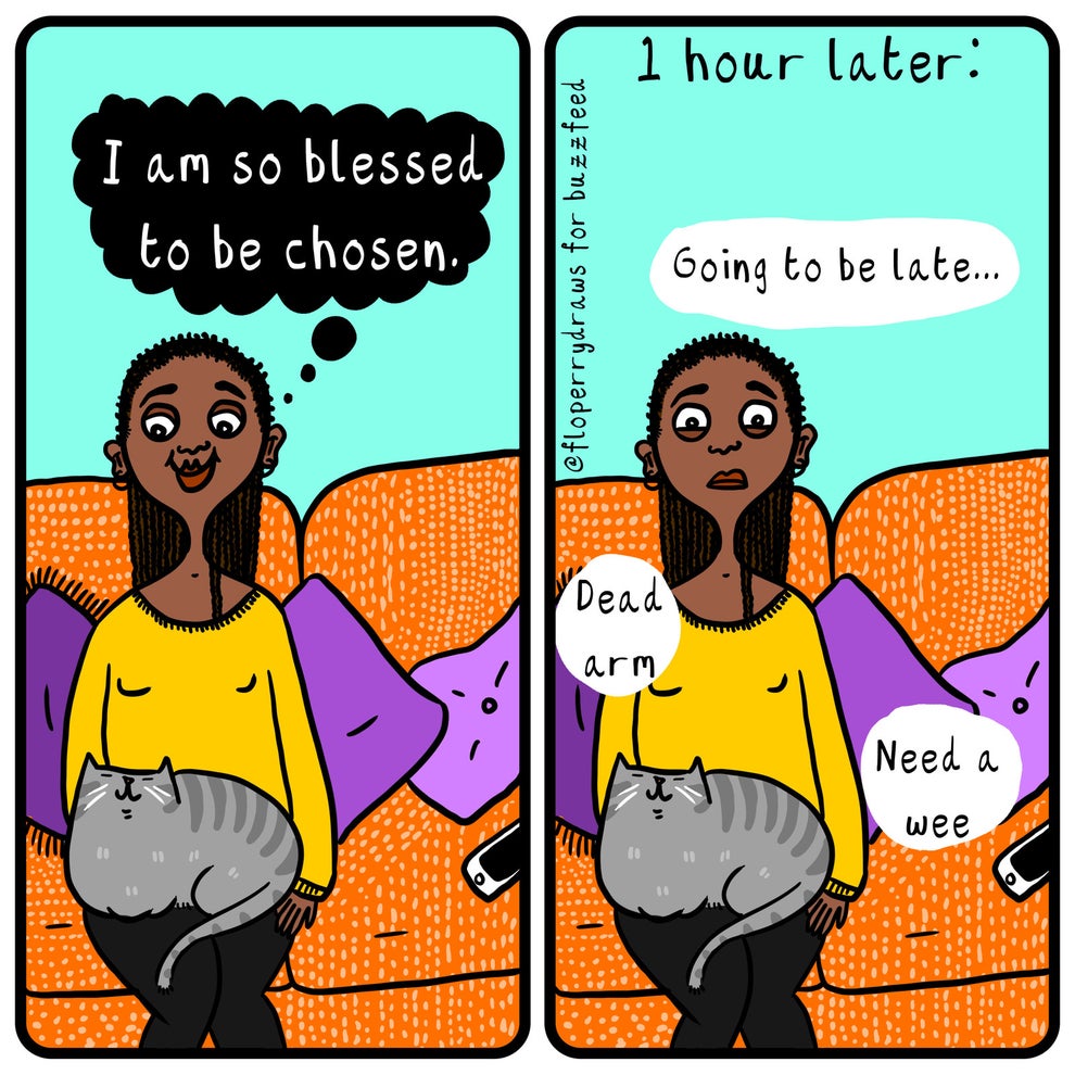 66 Funny Cat Memes That Will Never Get Old