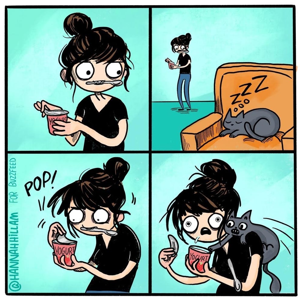 66 Funny Cat Memes That Will Never Get Old