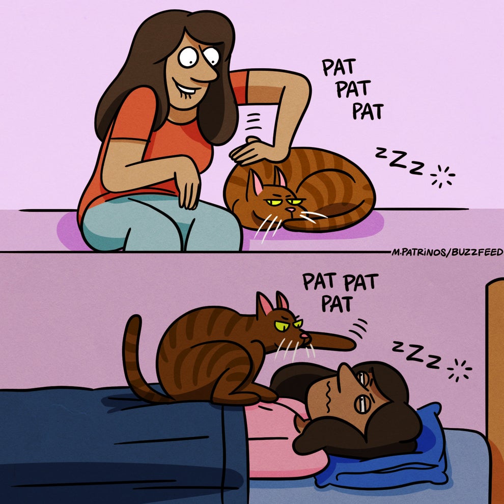 66 Funny Cat Memes That Will Never Get Old