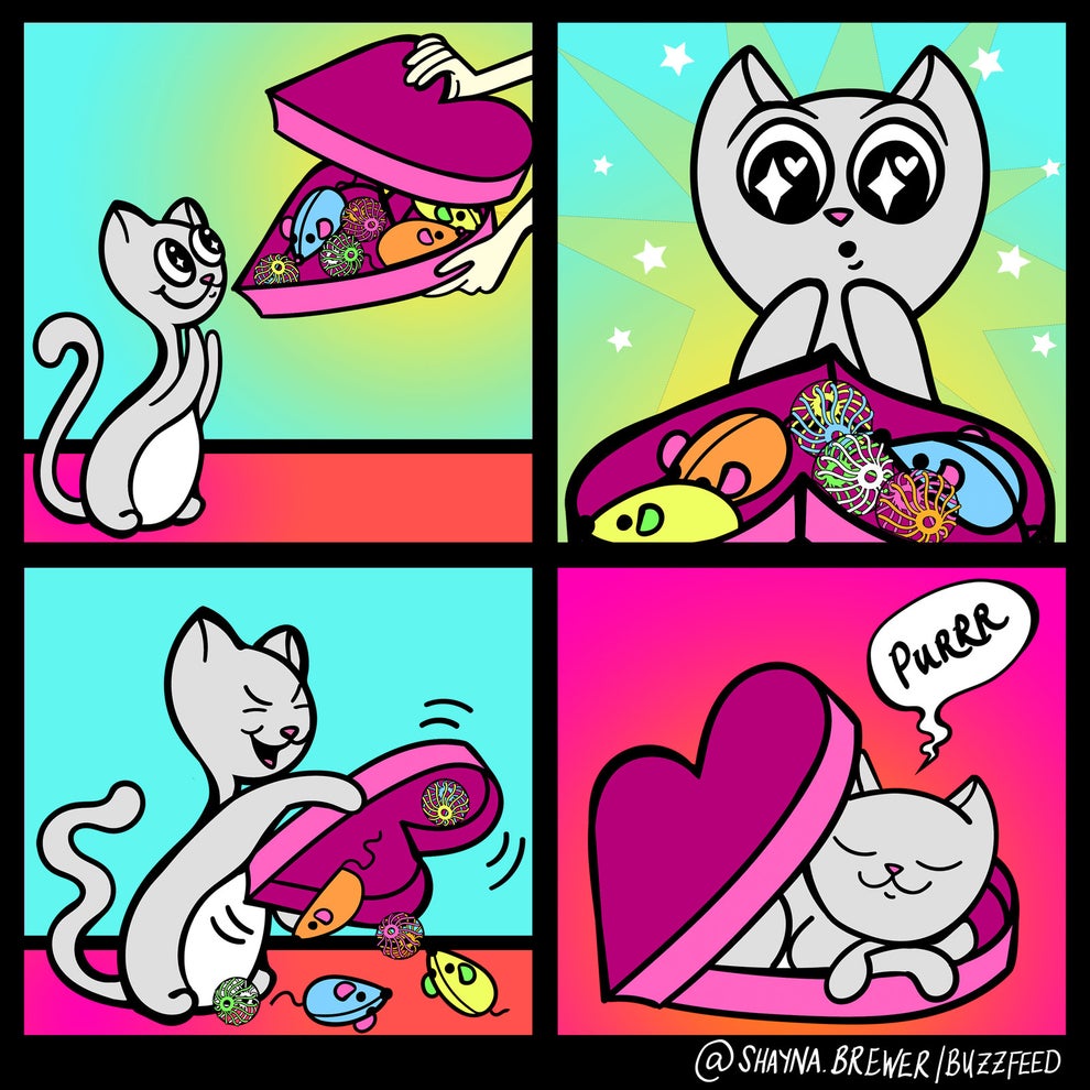 66 Funny Cat Memes That Will Never Get Old