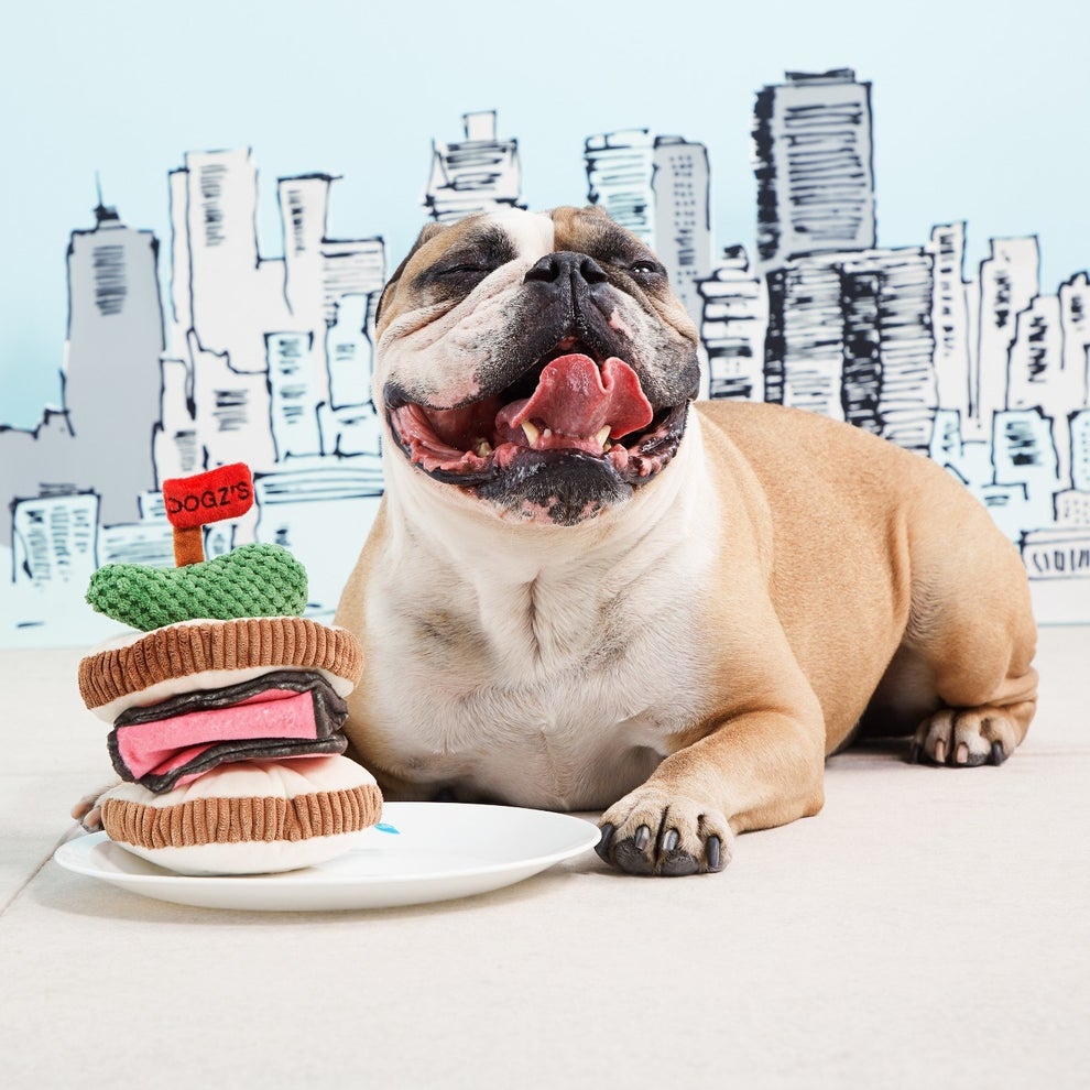 33 Cool And Random Things You Can Probably Afford