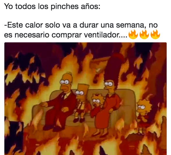 21 Memes para ver bajo el ventilador mientras esperas a que se pase ...