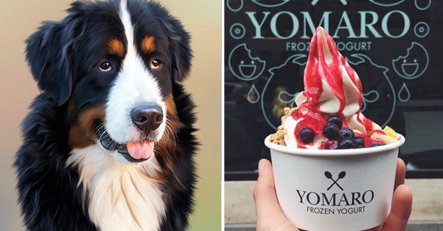 The Froyo You Make For Yourself Will Reveal What You Should Name Your ...