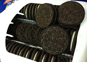 What Kind Of Bear Are You?