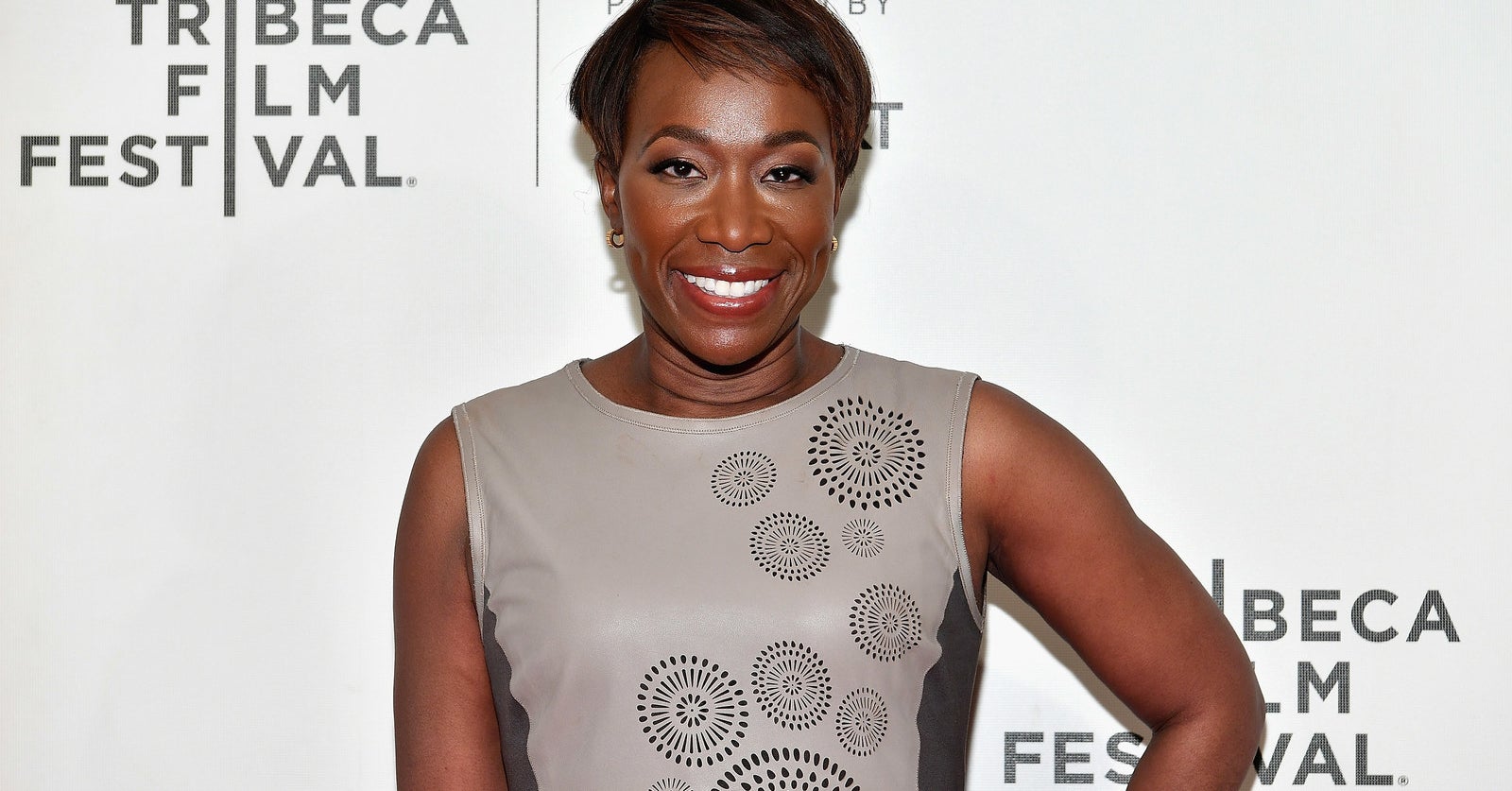 Joy Reid’s Cybersecurity Expert Has A History With The FBI