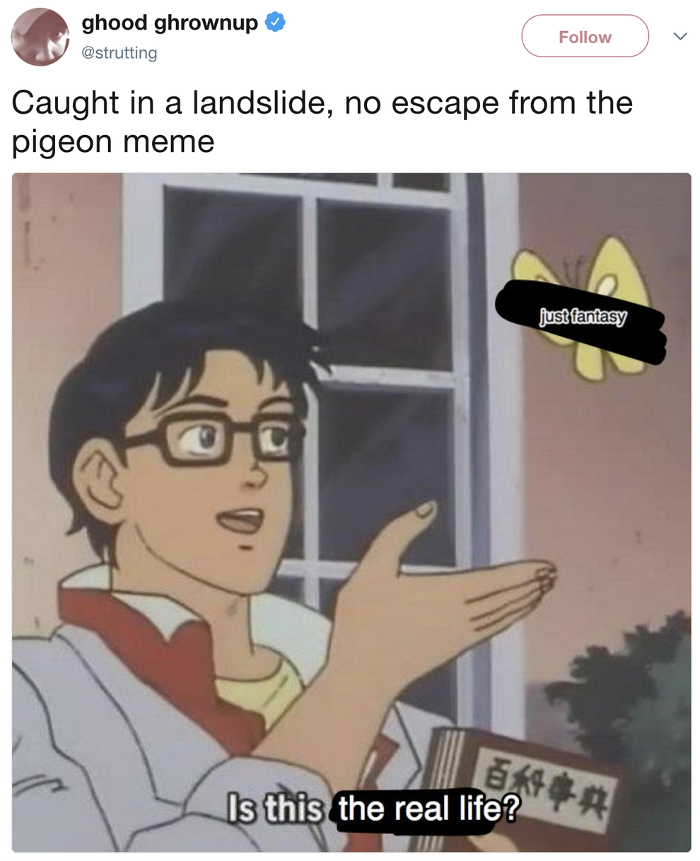 The "Is This A Pigeon?" Meme Format Is Hilarious, Here Are 19 Examples ...