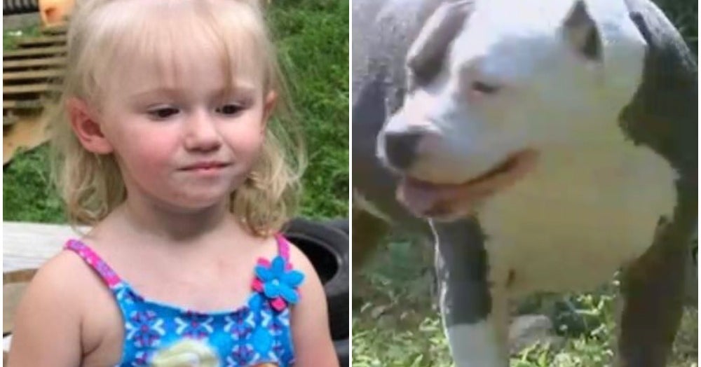The Family Of A Missing 2-Year-Old Said Their Dog Stayed By Her Side ...