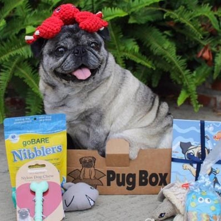 23 Awesome Subscriptions You'll Wish You'd Known About Sooner
