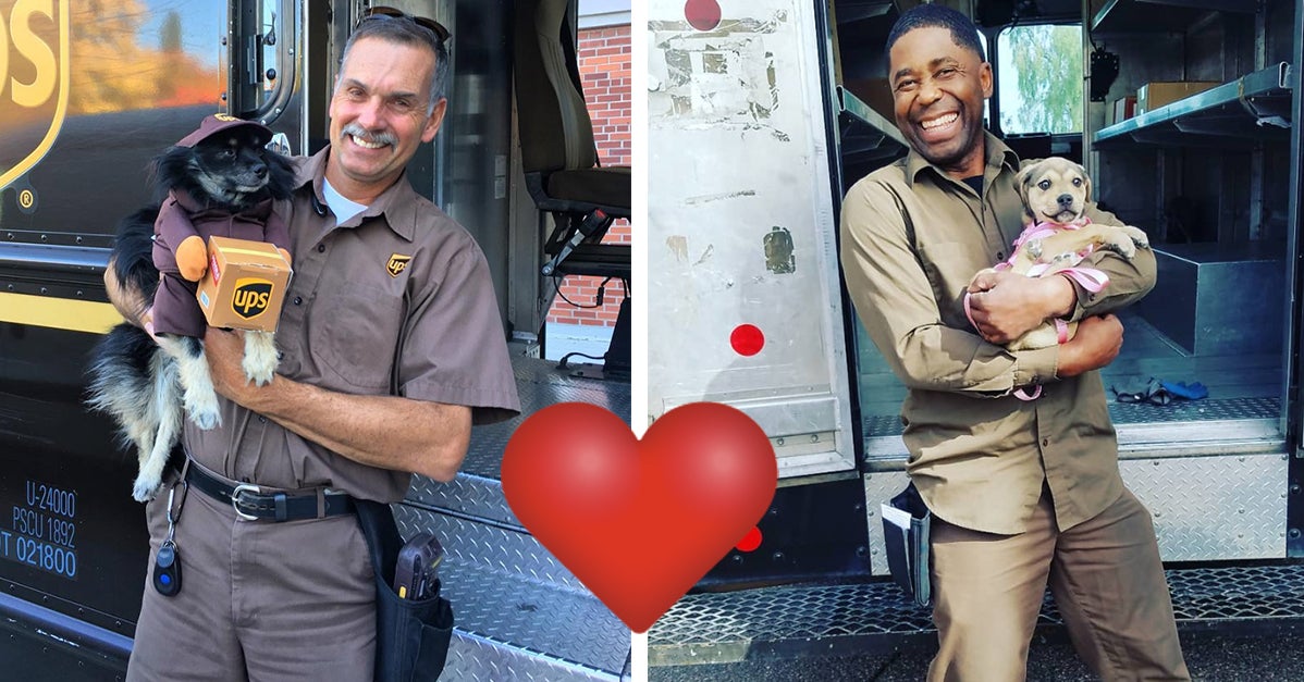 21 Photos Of Dogs And Delivery Drivers That Are Pawsitively Heartwarming