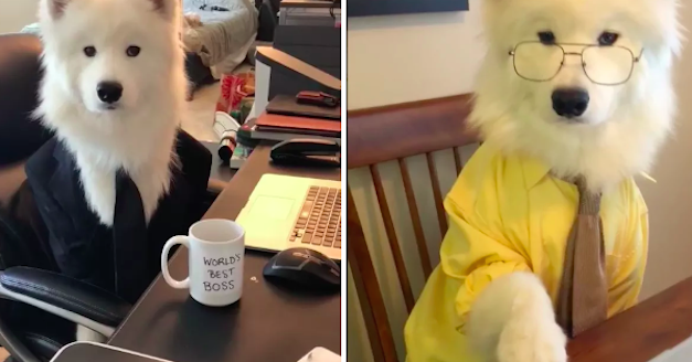 Here’s A Remake of the Opening Sequence From “The Office” Starring a ...