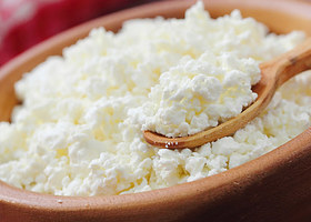 The Ultimate Gross Food Showdown