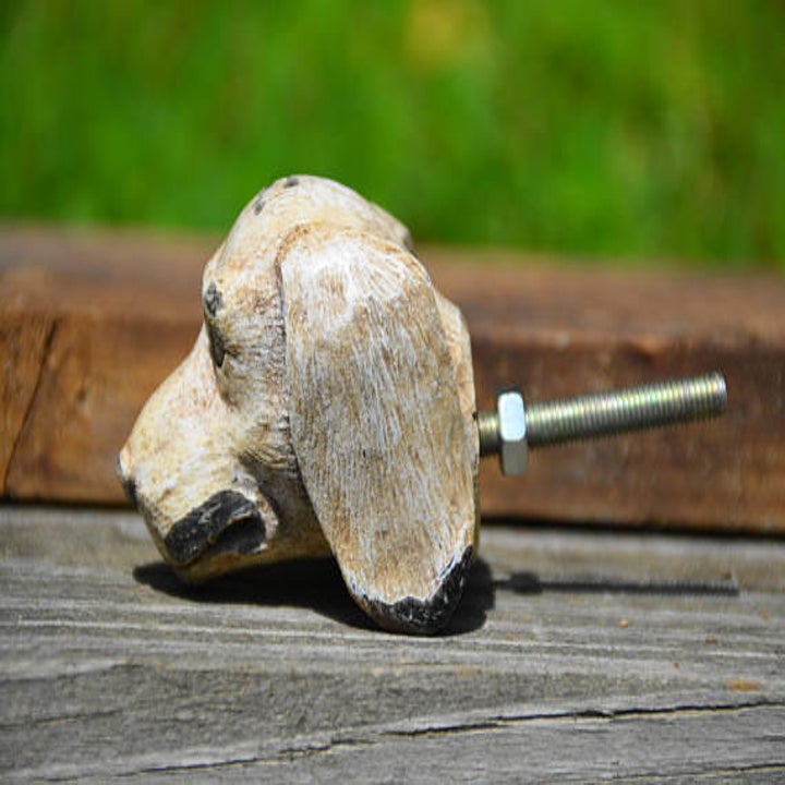 19 Practical, Yet Adorable Things For Animal Lovers