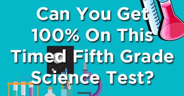 Can You Get 100% On This Timed Fifth Grade Science Test?