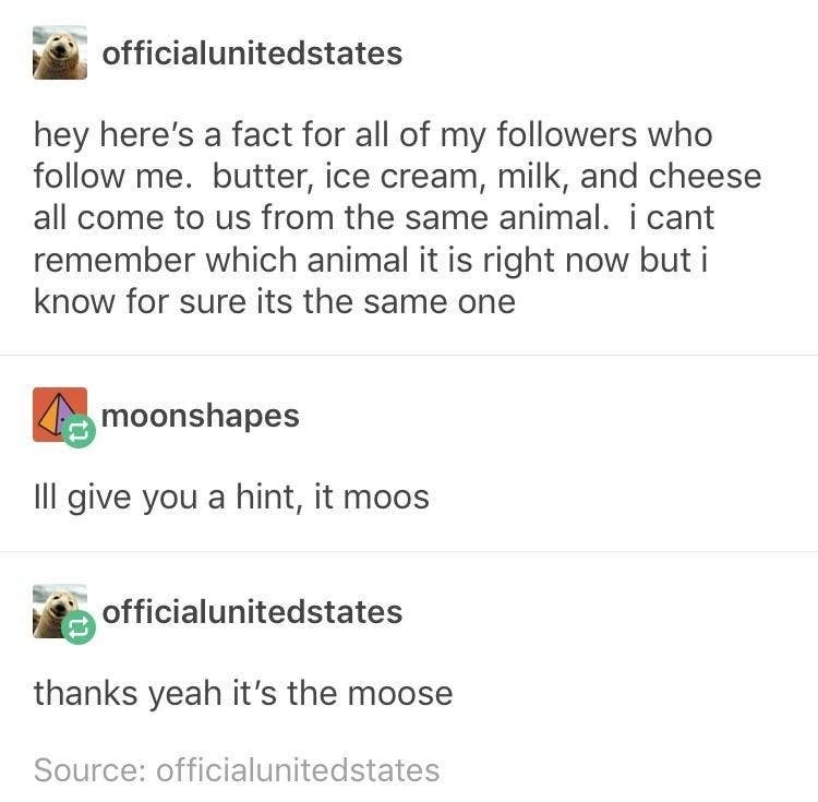 Funny Tumblr Comment Replies